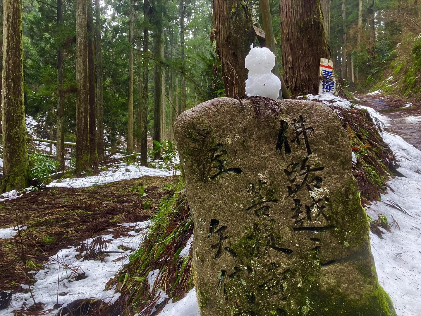 第99話・次回百回🏔️ ︎菩堤寺山 / Naluさんの菩提寺山・高立山・護摩堂山の活動データ | YAMAP / ヤマップ