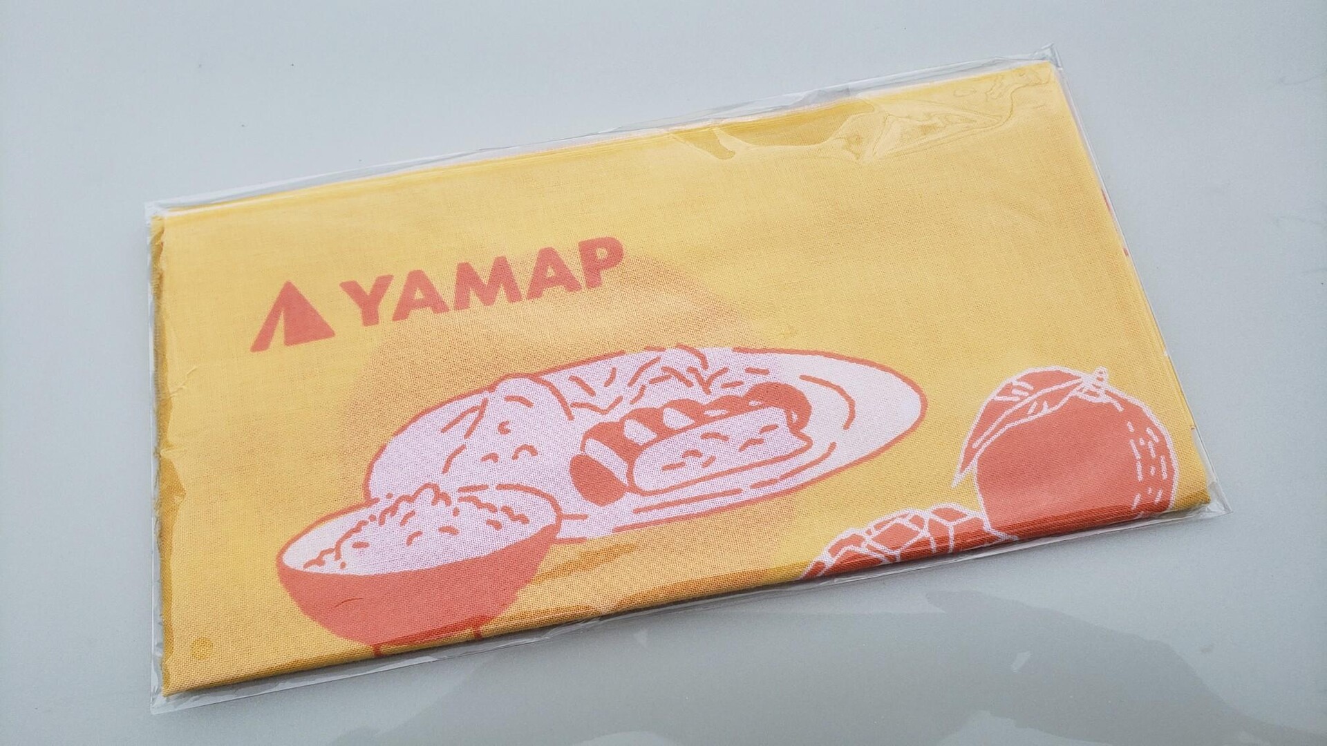 宮崎🏅GET／1Day 御鉢・高千穂峰（霧島山） / osaさんの霧島山・韓国岳・高千穂峰・夷守岳・烏帽子岳の活動データ | YAMAP / ヤマップ