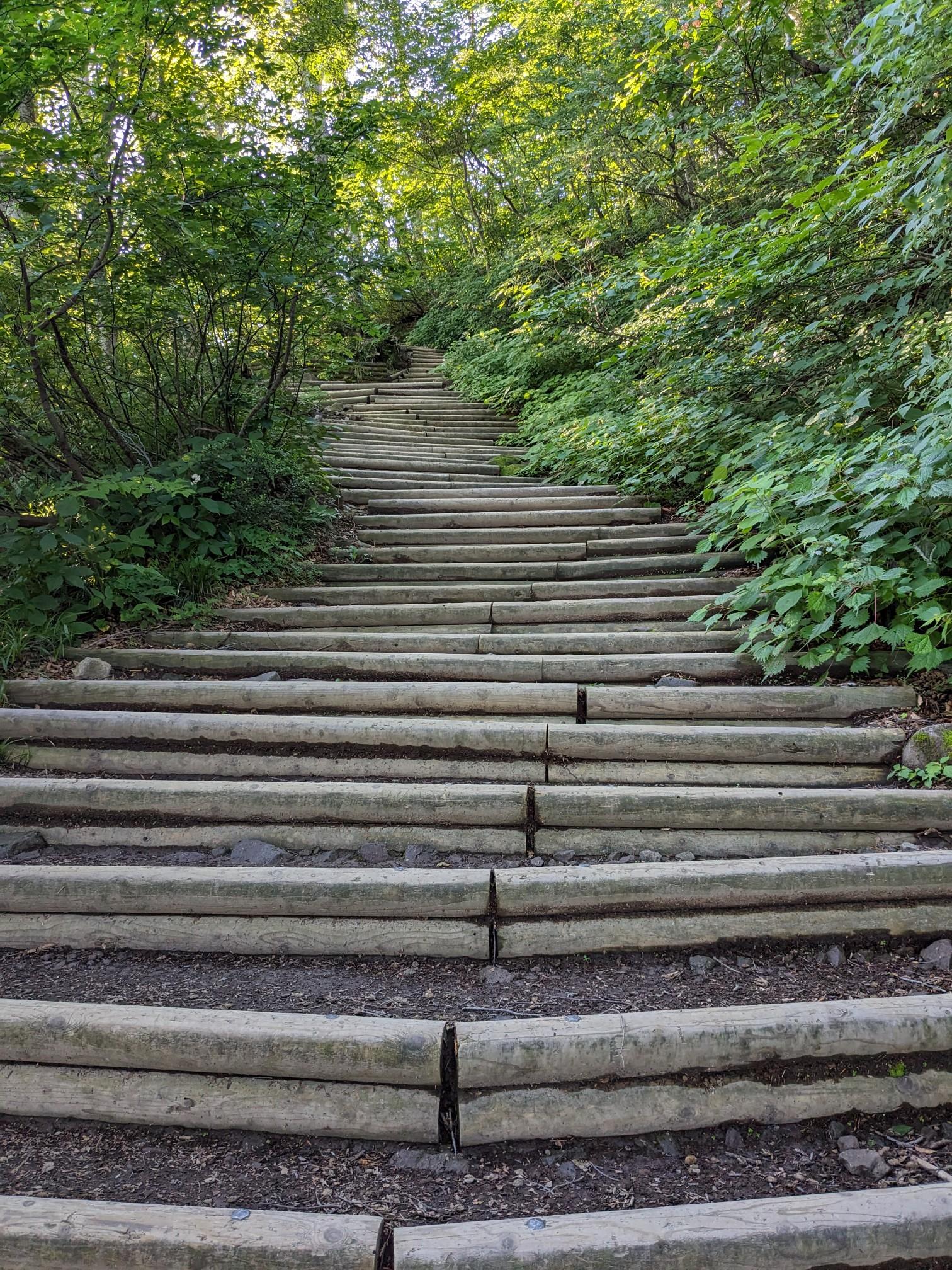 大山（弥山） / h3さんの大山・甲ヶ山・野田ヶ山の活動データ | YAMAP / ヤマップ