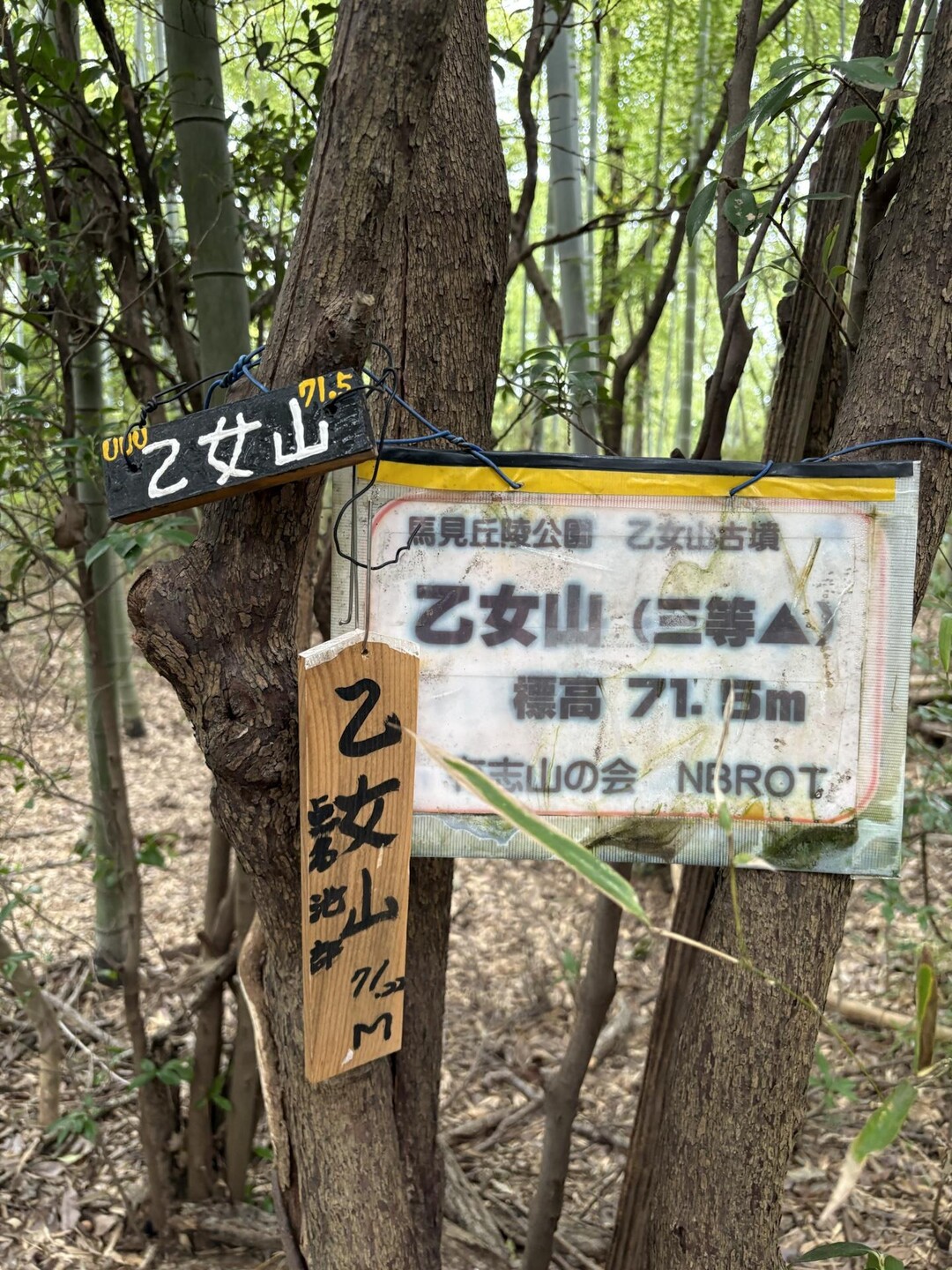 乙女山 / Keiさんの金剛山・二上山・大和葛城山の活動データ | YAMAP / ヤマップ