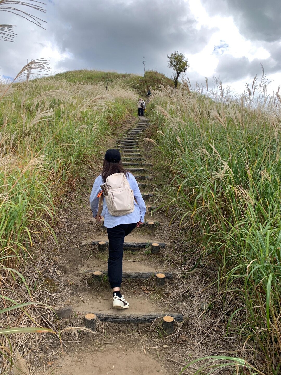 砥峰高原・峰山高原-2023-10-07 / 🎀kaori🍎さんの砥峰高原・峰山高原の活動データ | YAMAP / ヤマップ