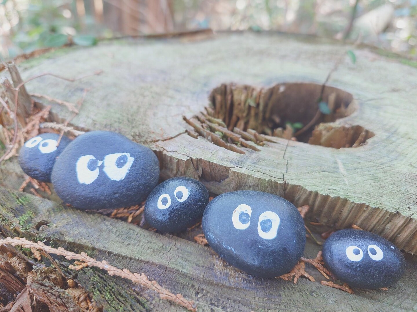 自身初の20キロ超えに挑戦🙋 / 2543mさんの赤ぼっこの活動データ | YAMAP / ヤマップ