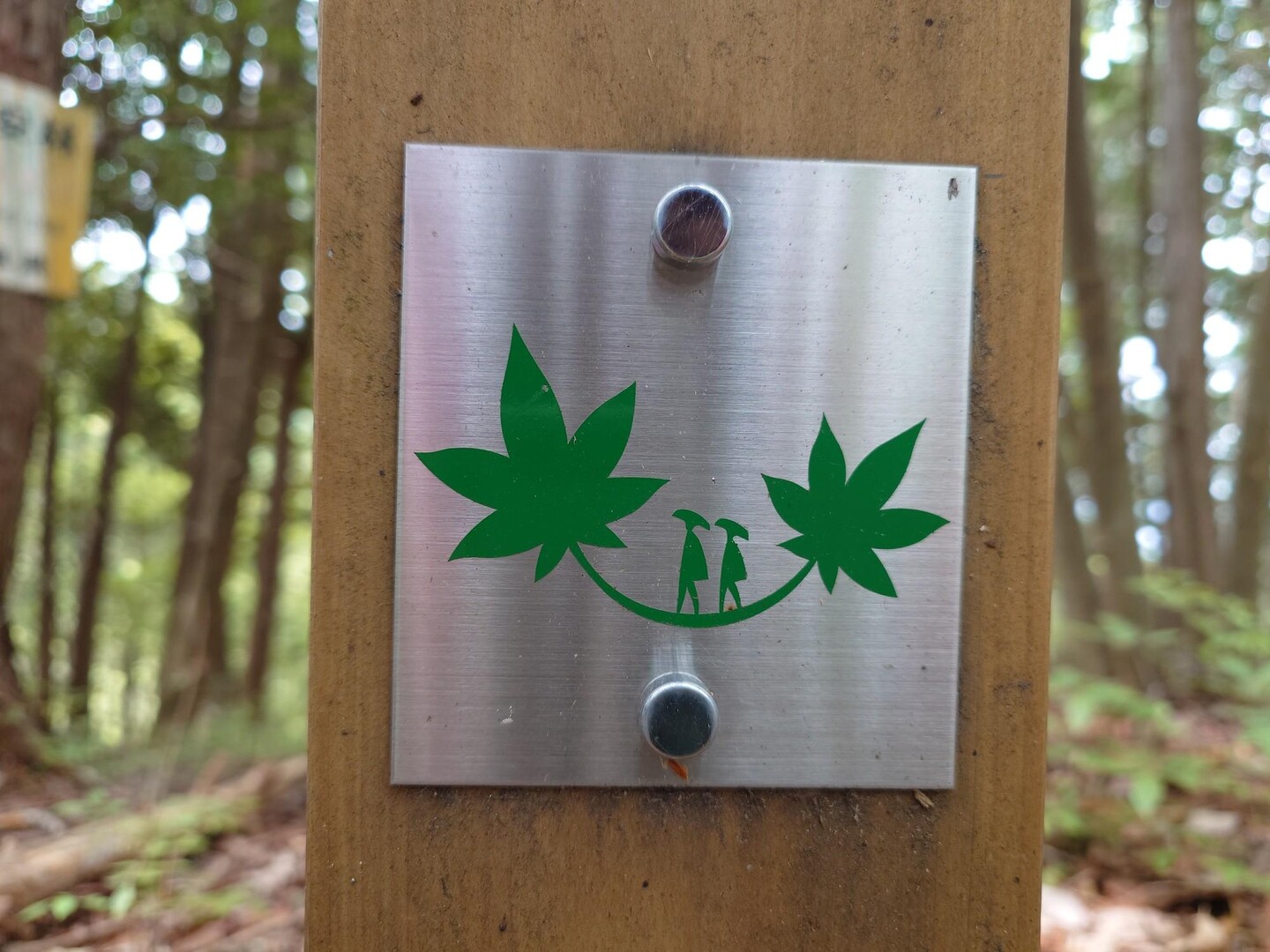 百々ヶ峰周回 GW③ / 2543mさんの百々ヶ峰・源太峰の活動データ | YAMAP / ヤマップ