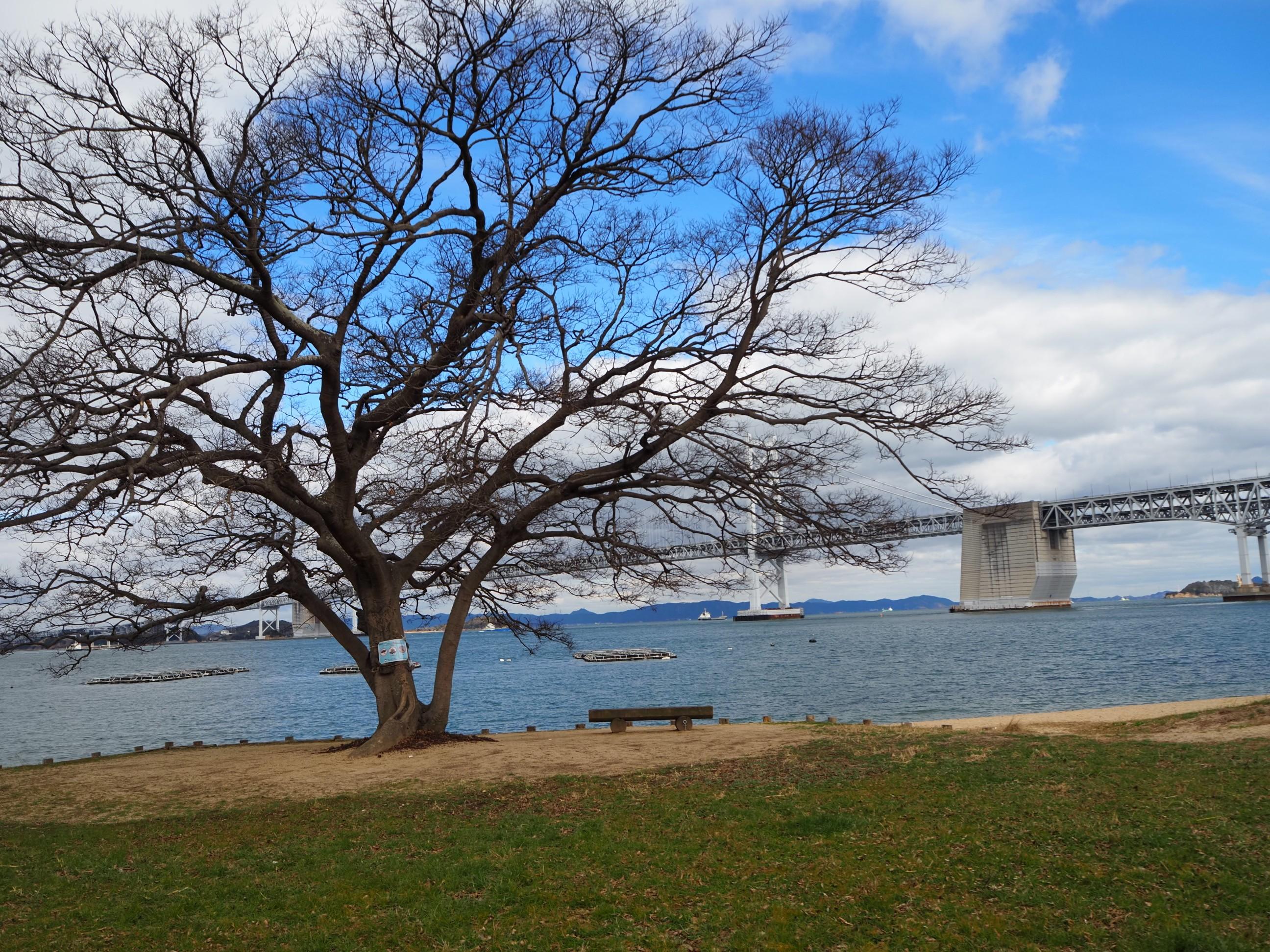 沙弥島 / h3さんの坂出市の活動データ | YAMAP / ヤマップ