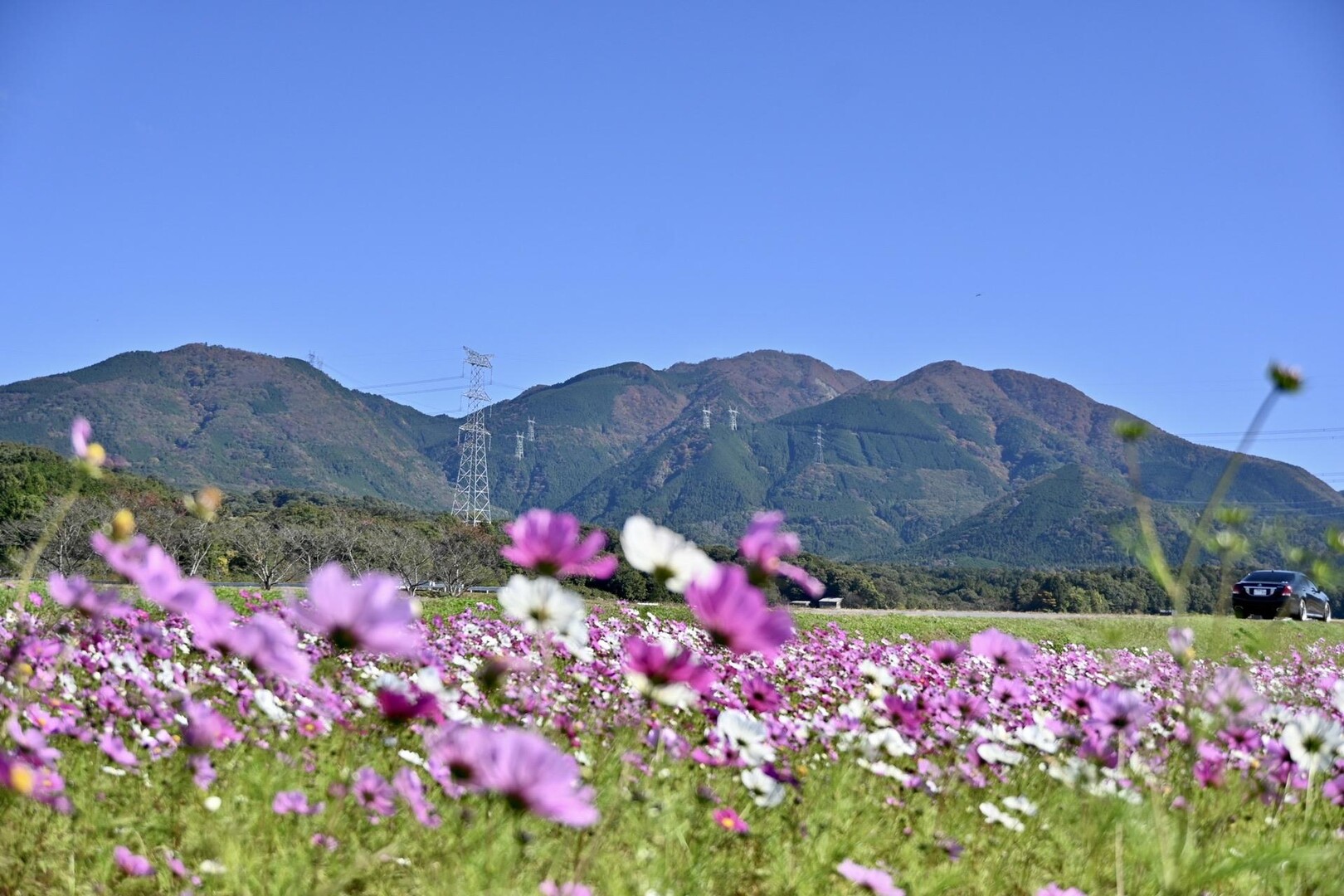 綿向山・竜王山 / hikaさんの綿向山の活動データ | YAMAP / ヤマップ