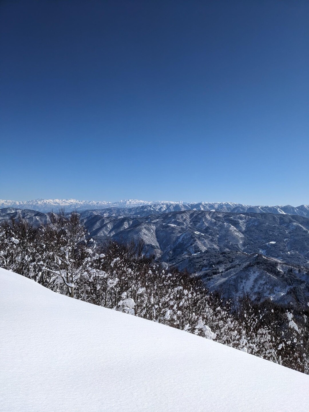 高落場山 / gym 2さんの高清水山・高落場山・八乙女山の活動データ | YAMAP / ヤマップ