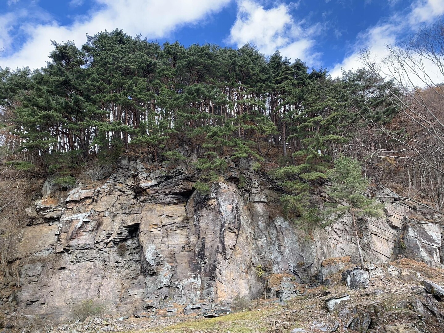 諏訪の幕岩🪨その上の三角点1171 / jucca🍎さんの永明寺山の活動データ | YAMAP / ヤマップ