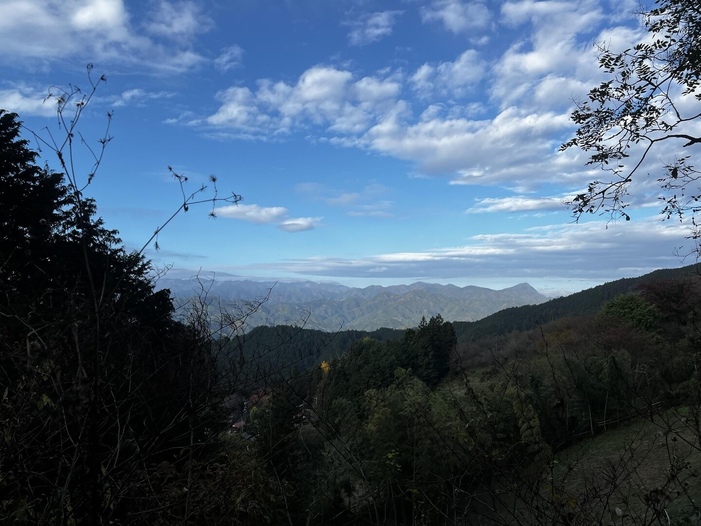 FTR100K 高山DNF / もりもさんのヤマノススメ巡礼マップ（天覚山・大高山・子の権現）の活動データ | YAMAP / ヤマップ