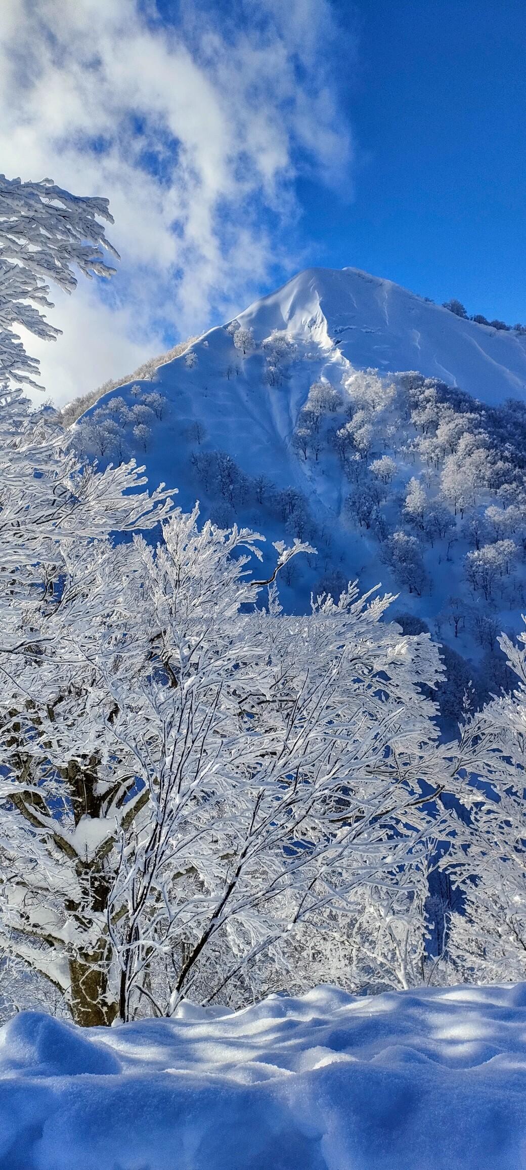 初めてモーメント使ってみます😄 202... / chicoさんのモーメント | YAMAP / ヤマップ