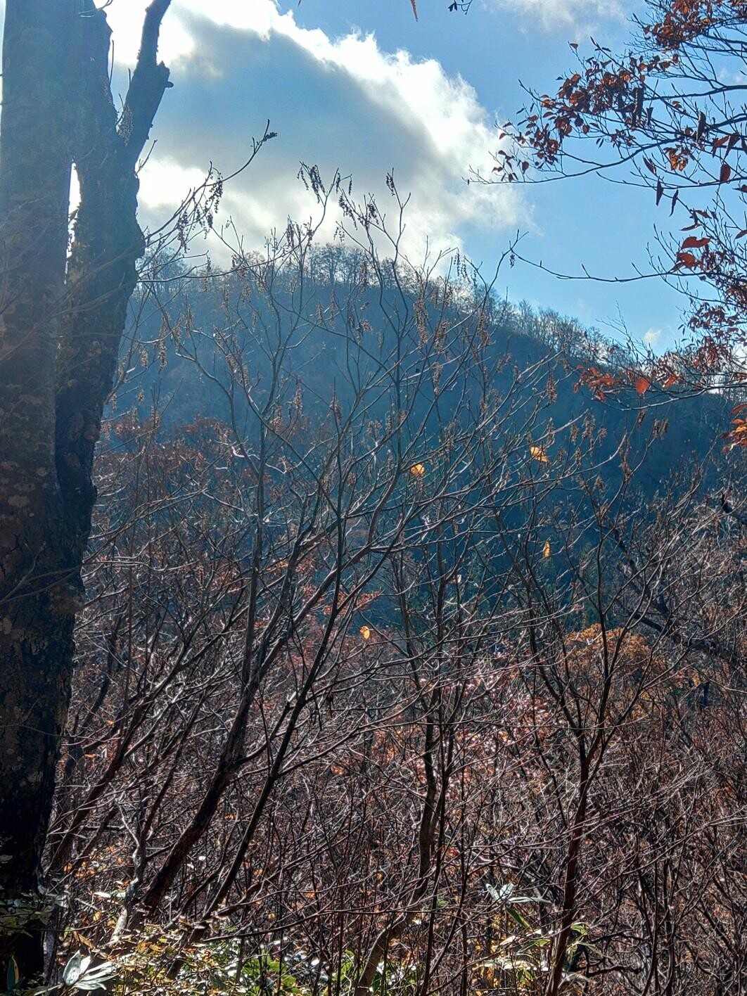 キラズ山 / saku1961さんのキラズ山の活動データ | YAMAP / ヤマップ