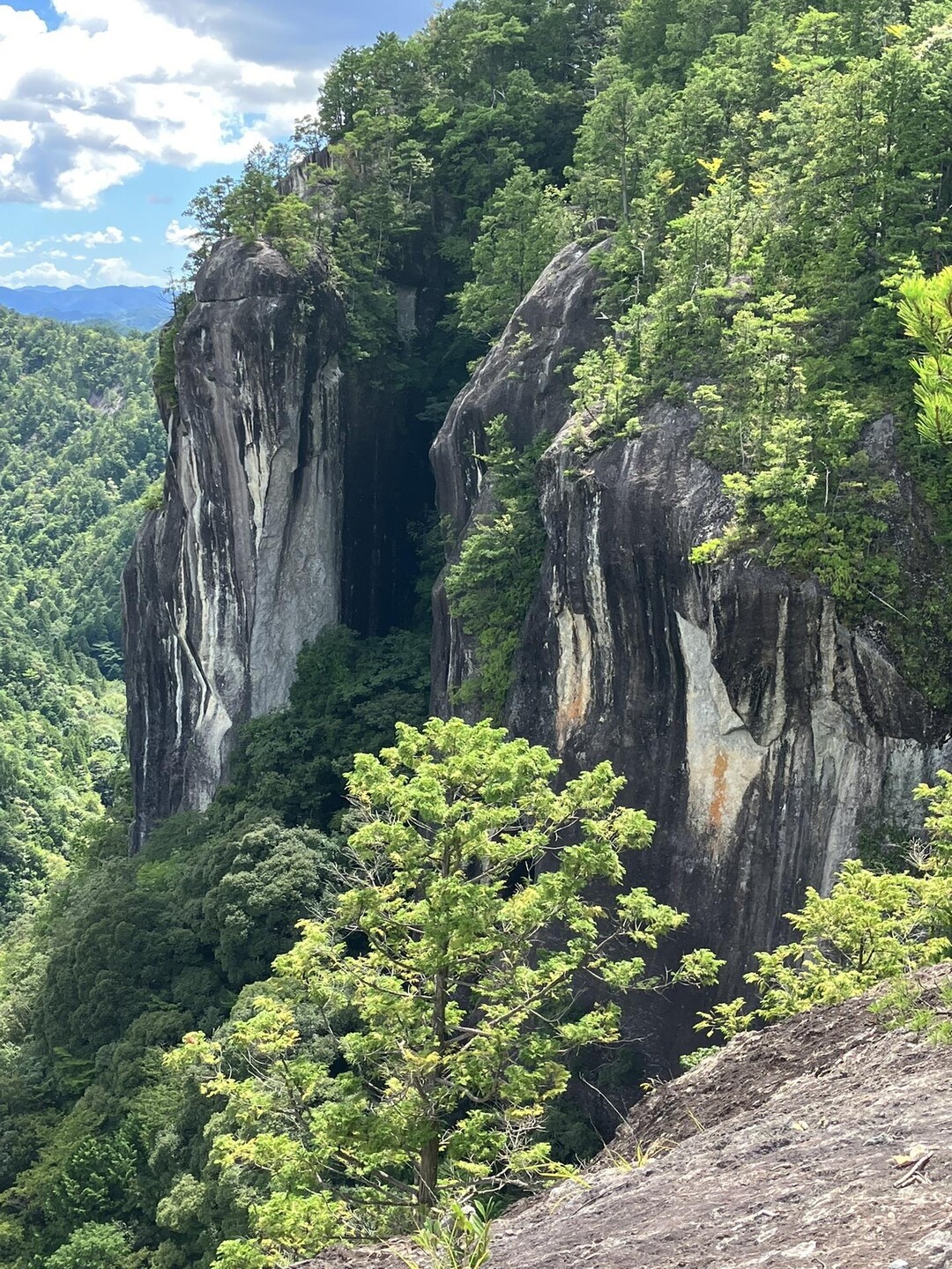 上臈岩 / Fjとしさんの宇連山・鳳来寺山・岩古谷山の活動データ | YAMAP / ヤマップ