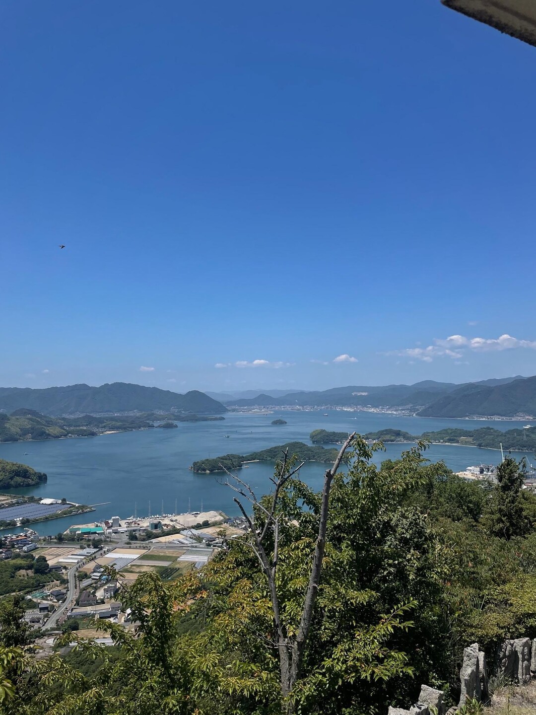 白滝山 / kamiさんの青影山（城山）・奥山（観音山）の活動データ | YAMAP / ヤマップ