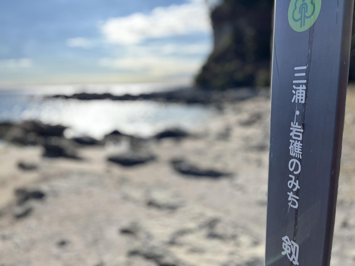 春の兆し！三浦岩礁ハイキング / ひろ0802さんの三浦市・関東ふれあいの道（三浦・岩礁のみち, 油壺・入江のみち, 荒崎・潮騒のみち, 小網代の森）の活動日記 | YAMAP / ヤマップ