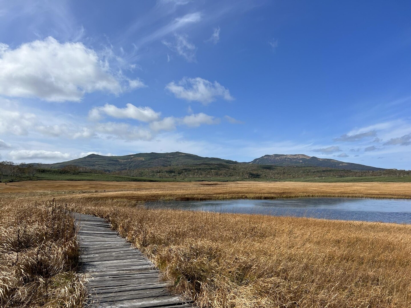 南暑寒岳🌾🌾🌾 / rukiさんの暑寒別岳の活動データ | YAMAP / ヤマップ