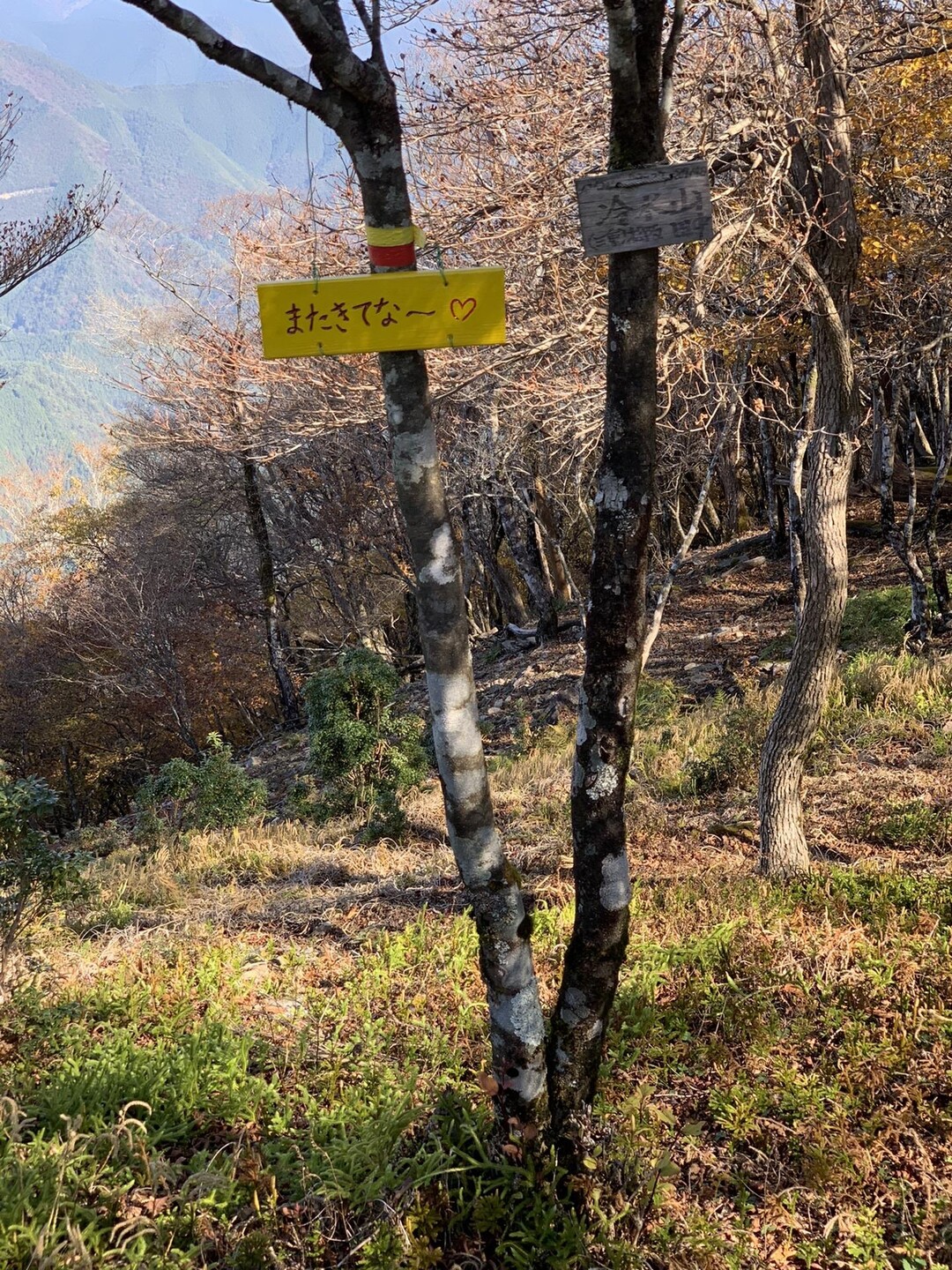 果無山脈縦走＋オマケのロード33km / ももすけさんの冷水山・百前森山・果無山の活動データ | YAMAP / ヤマップ