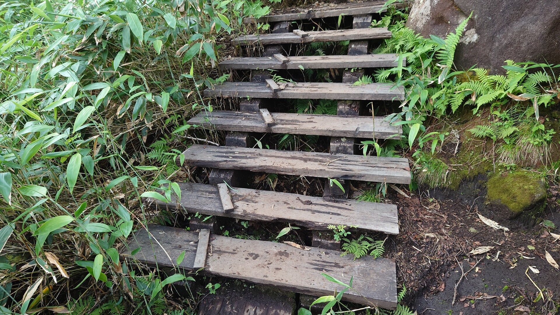 keiさんの投稿したフィールドメモ | YAMAP / ヤマップ