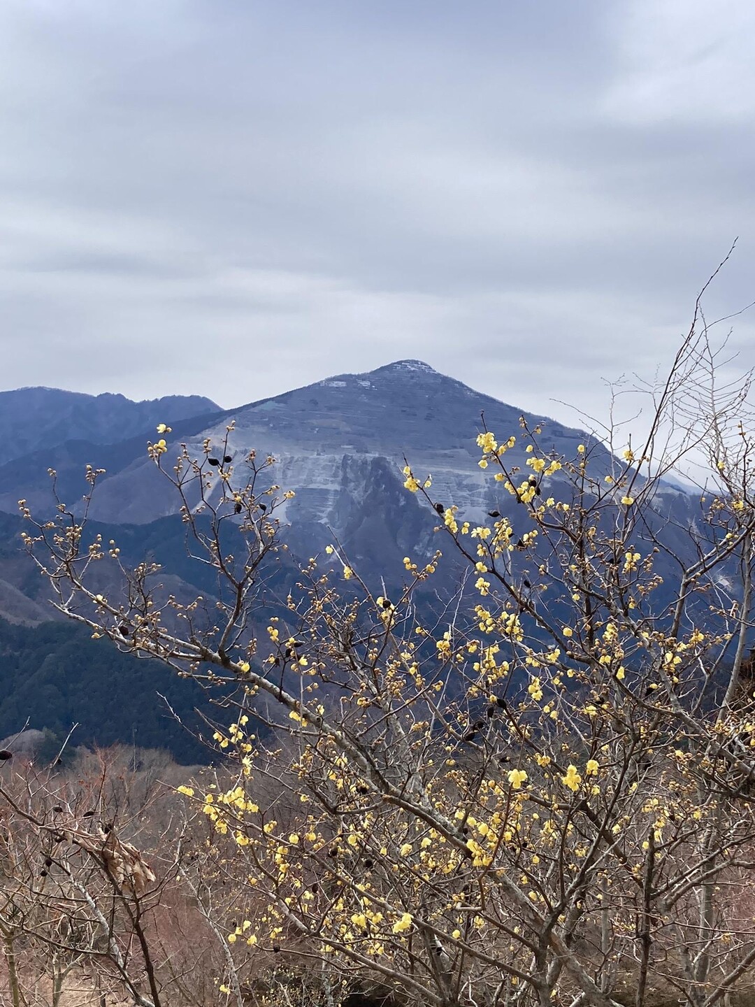 丸山・日向山 / tae0218さんの丸山の活動データ | YAMAP / ヤマップ