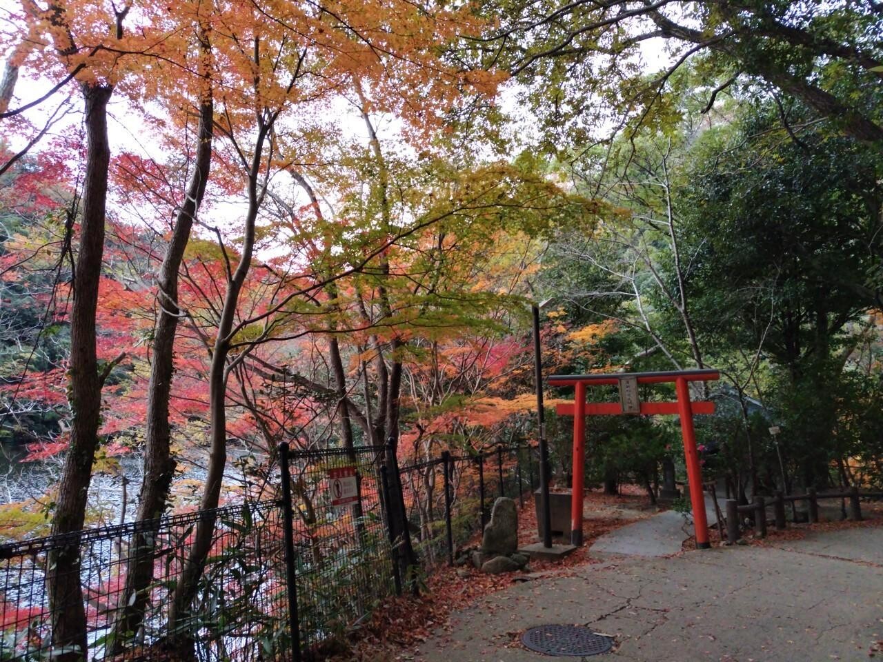 諏訪山公園→大龍寺→新神戸 / shigさんの六甲山・長峰山・摩耶山の活動データ | YAMAP / ヤマップ