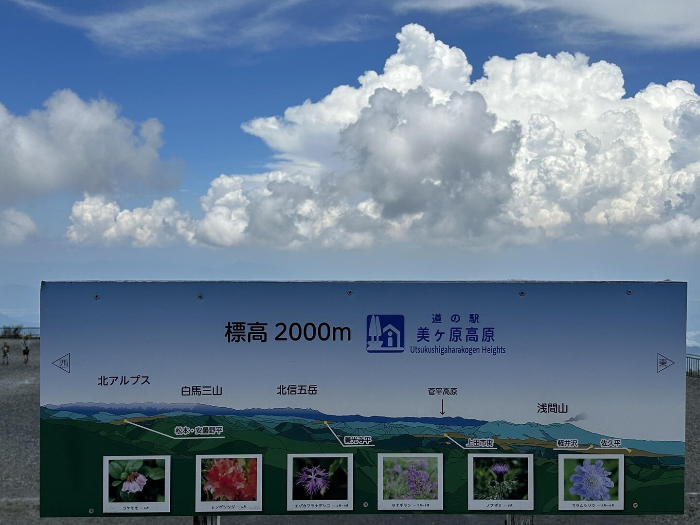 涼しい 美ヶ原（王ヶ頭）・王ヶ鼻 / tinamtさんの美ヶ原の活動データ | YAMAP / ヤマップ