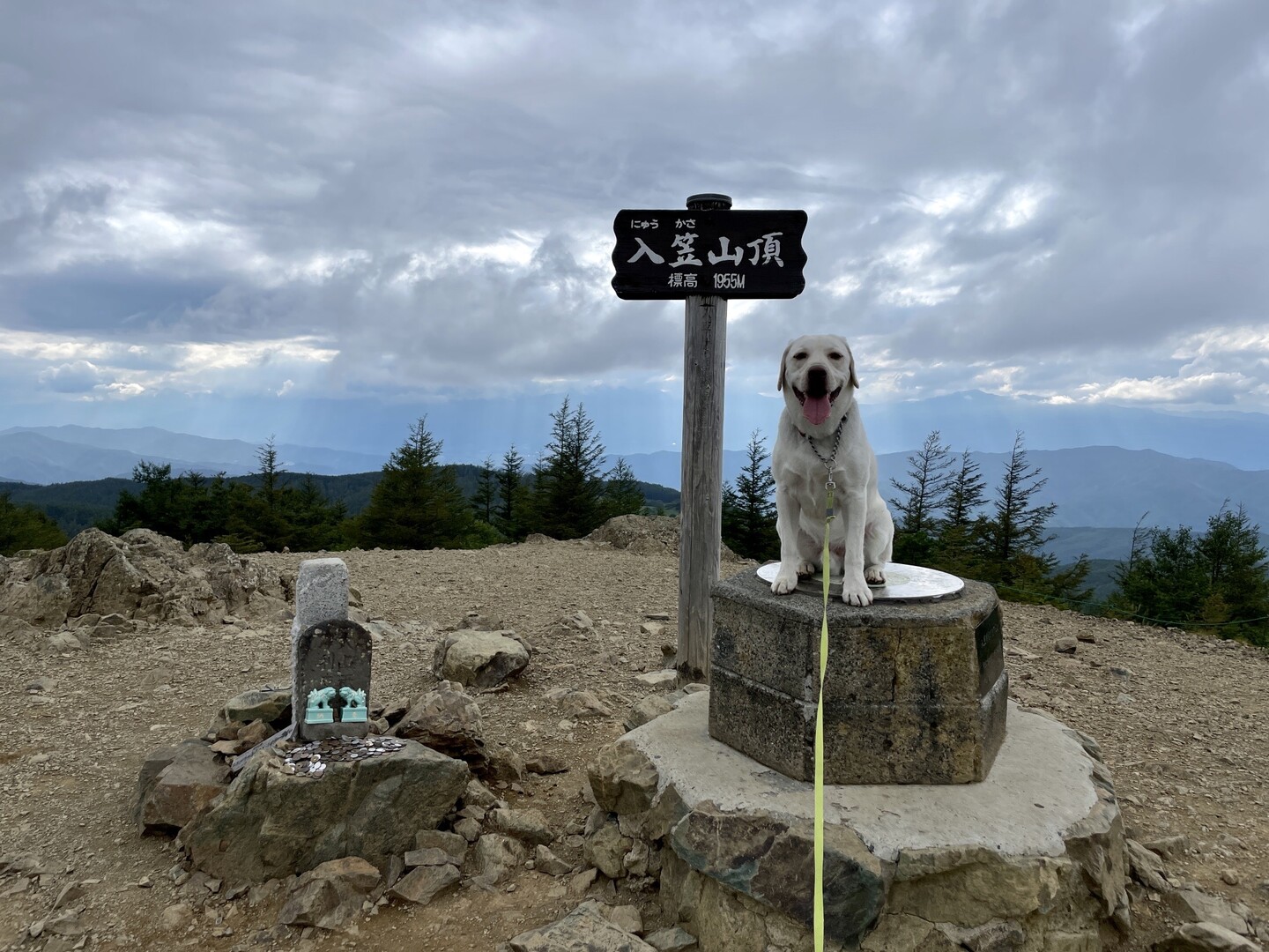 はじめてのゴンドラ入笠山（信州遠征3日目PM） / あずきさんの入笠山の活動データ | YAMAP / ヤマップ