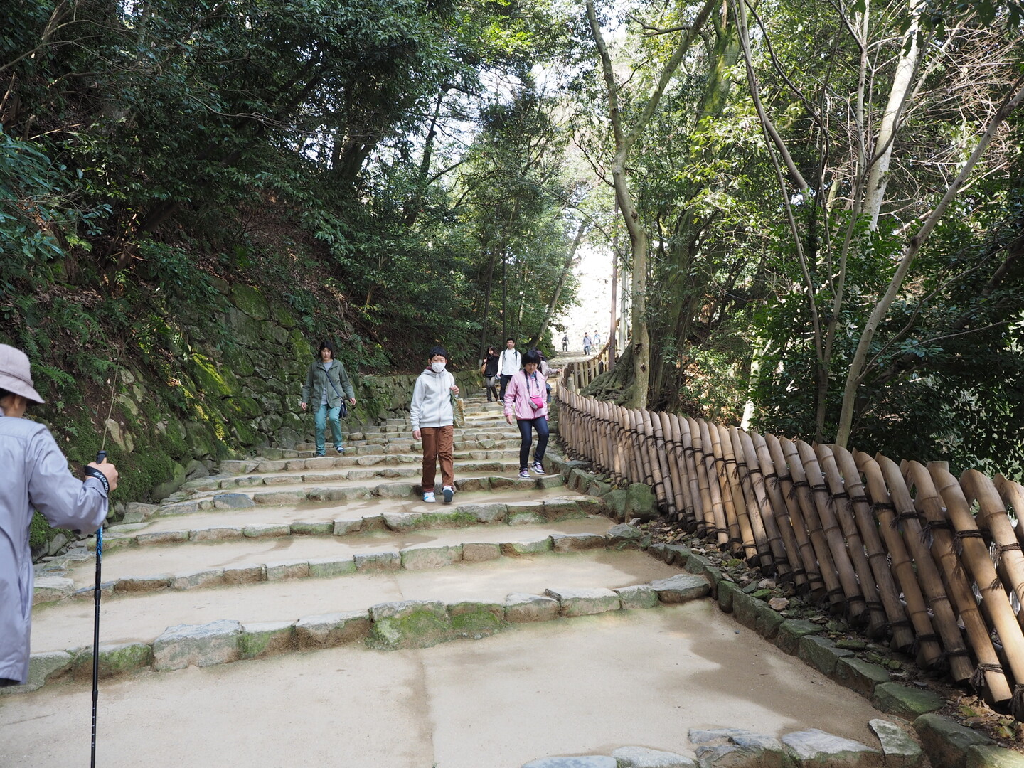 2015年3月下旬の彦根城です。 前... / sensaさんのモーメント | YAMAP / ヤマップ