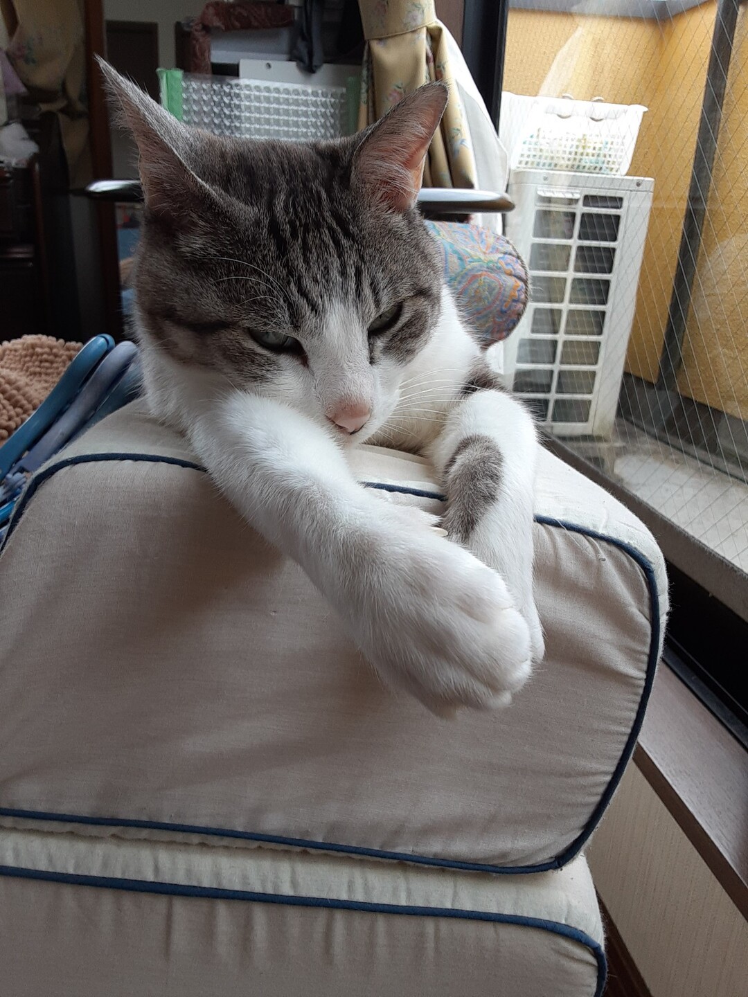 akisanのページ | YAMAP / ヤマップ