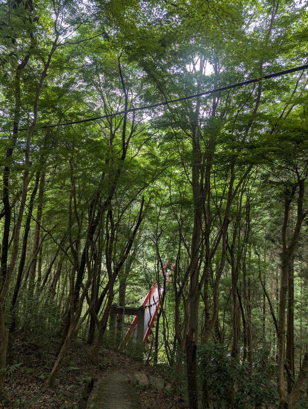 梟ヶ城址展望台 / タケシさんの六所山・炮烙山の活動データ | YAMAP / ヤマップ