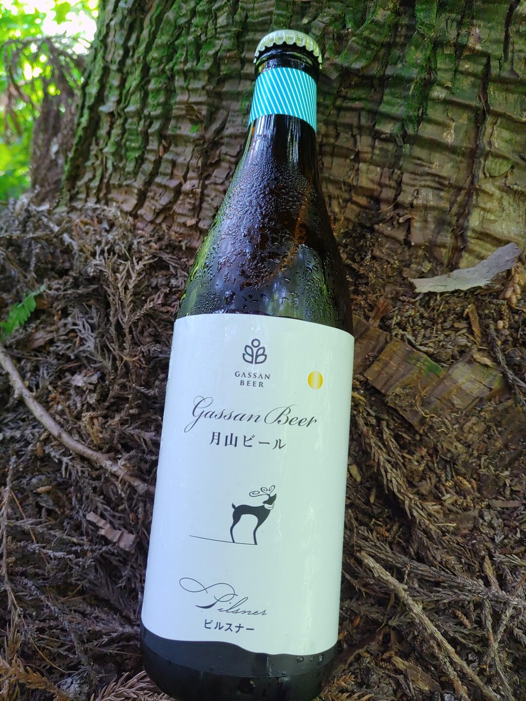 本日の午前中に高清水通りの13丁石(夫婦... / 大黒森PJ(旧FCドロンパ)さんのモーメント | YAMAP / ヤマップ