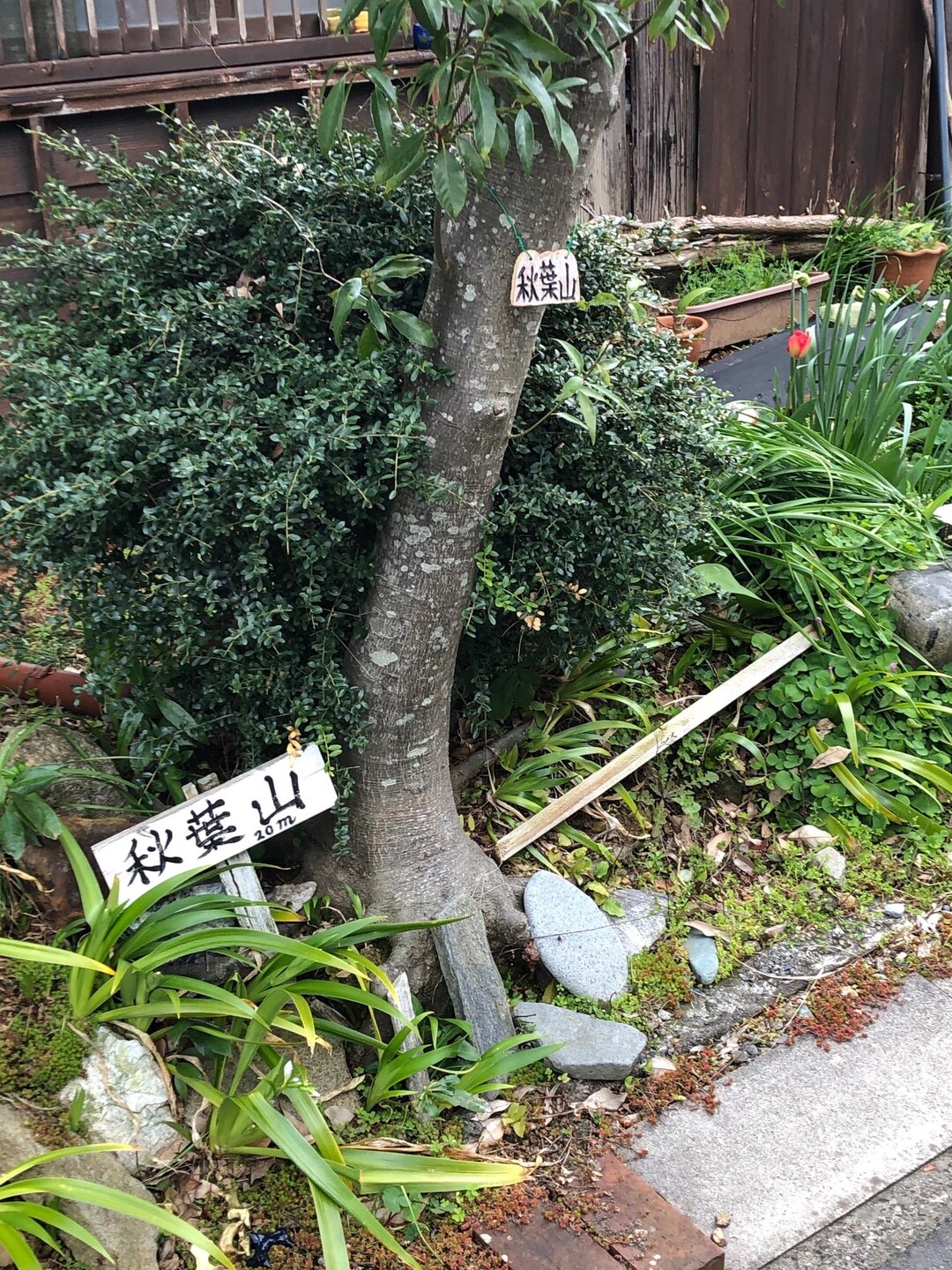 辻久留 秋葉山 20m (低山巡り) 伊勢市 / isisさんの伊勢市の活動日記 | YAMAP / ヤマップ