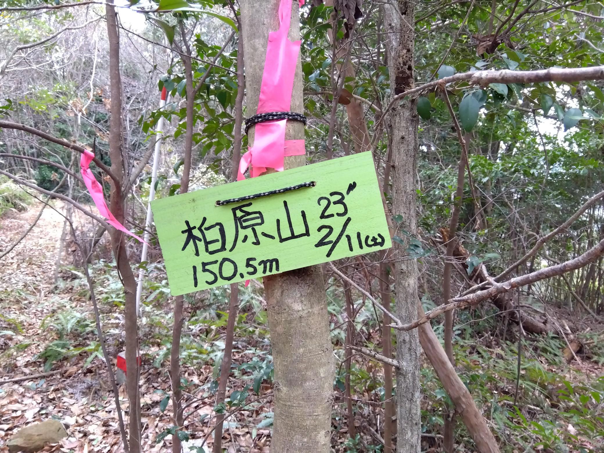 柏原山 (小野田市) / senbu2(センブツ)さんの松岳山の活動データ | YAMAP / ヤマップ