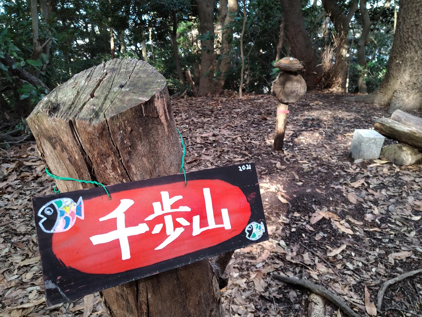 千歩山の頂上標識が気になって / ryuchanさんの許斐山の活動データ | YAMAP / ヤマップ