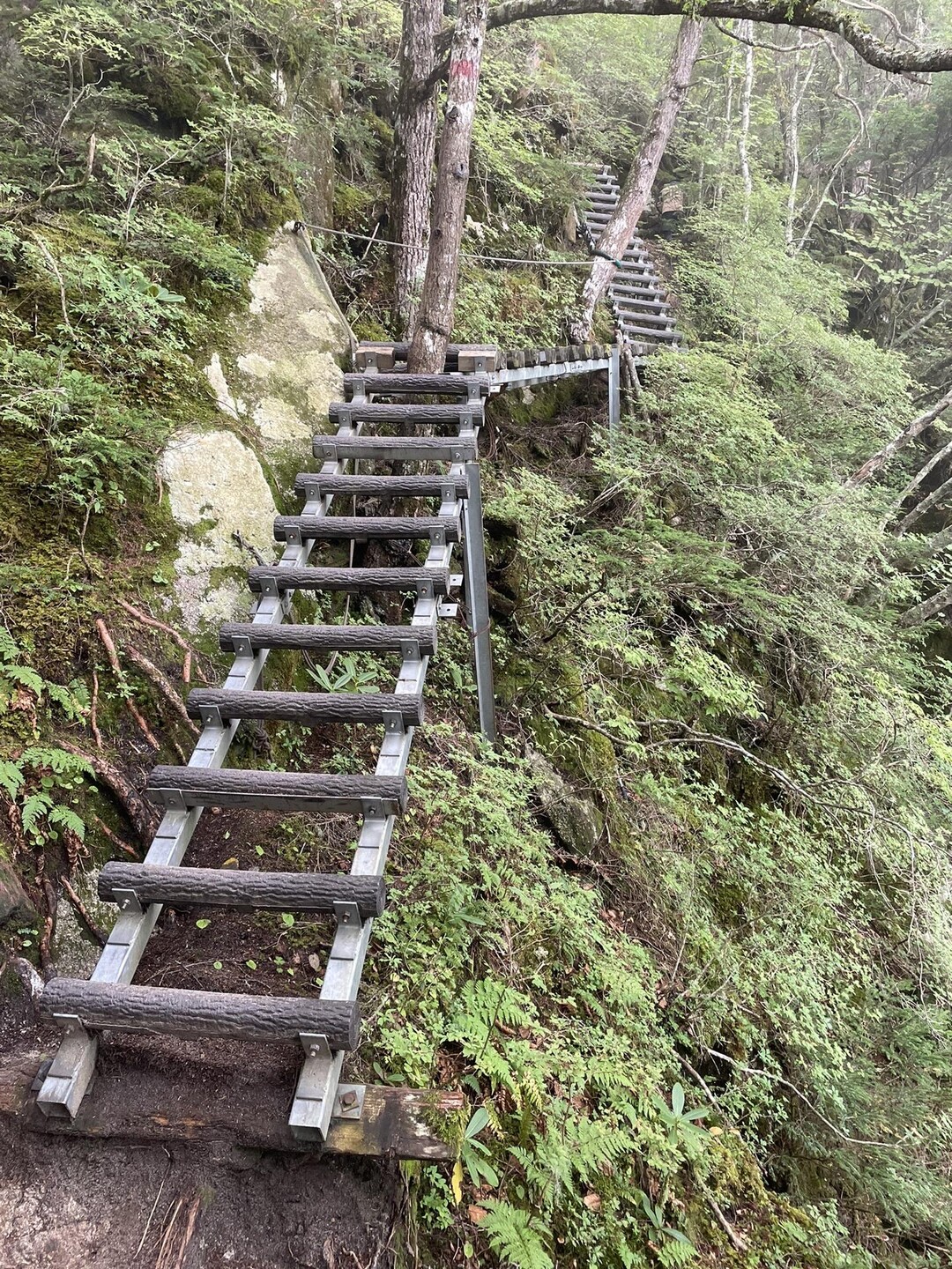 tsk-chaponさんの投稿したフィールドメモ | YAMAP / ヤマップ