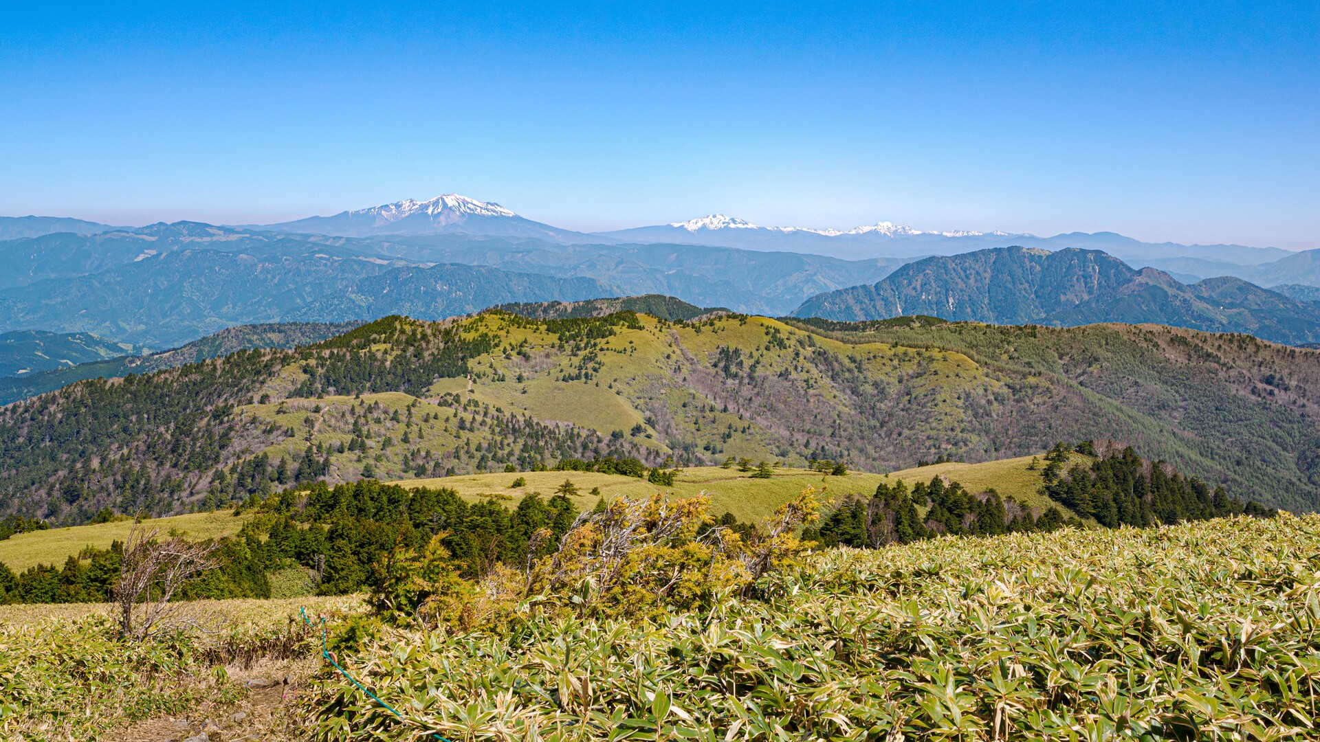 富士見台高原・南沢山（10 miles hike） / TakNさんの恵那山・大判山・神坂山の活動データ | YAMAP / ヤマップ