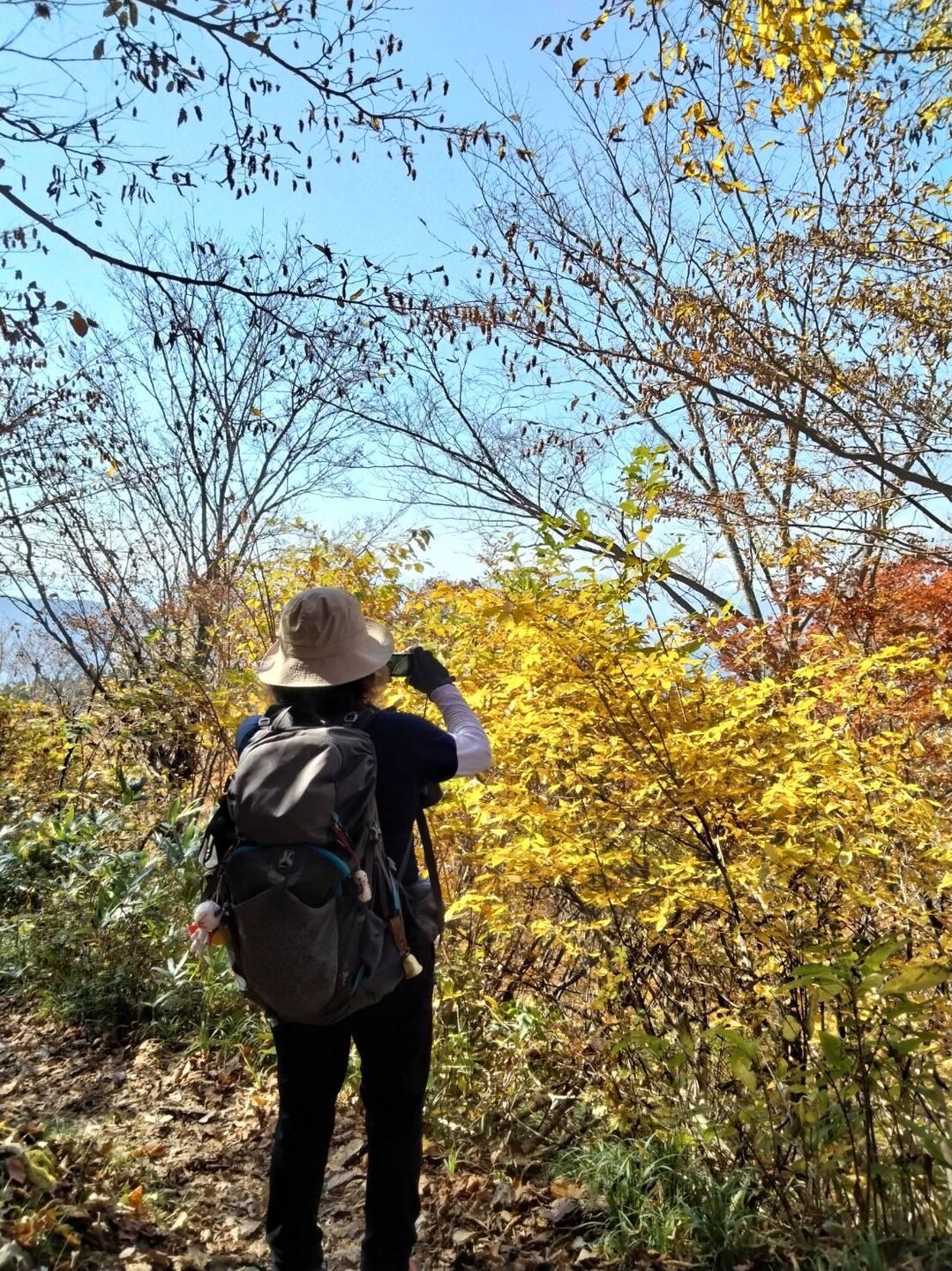 取立山🍁 / Smileさんの取立山の活動データ | YAMAP / ヤマップ