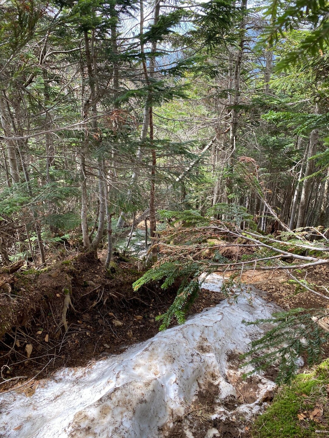 Dijkstra Rei-Willemさんの投稿したフィールドメモ | YAMAP / ヤマップ