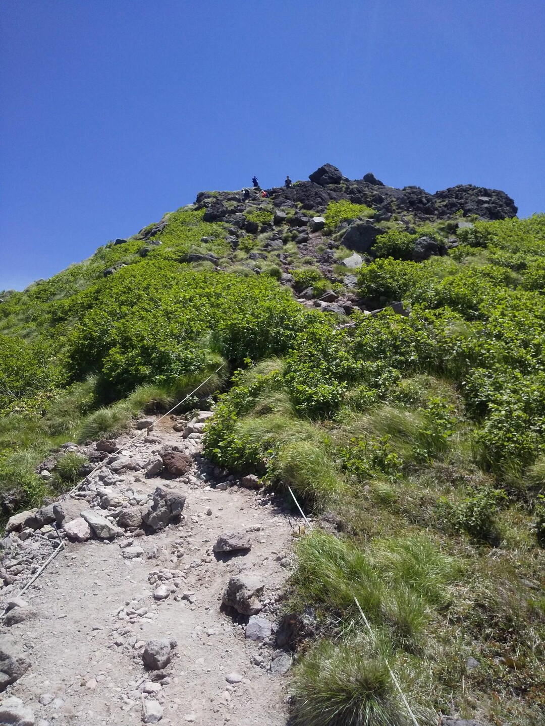 moriさんの投稿したフィールドメモ | YAMAP / ヤマップ