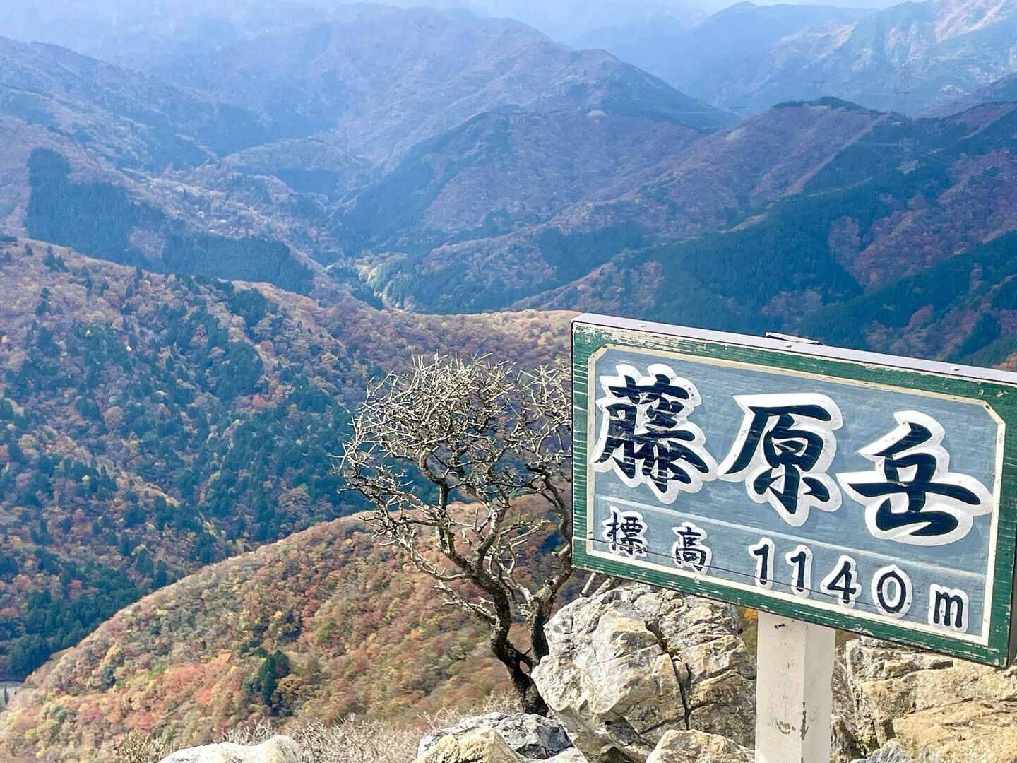 藤原岳 / blackmanさんの藤原岳・御池岳の活動データ | YAMAP / ヤマップ