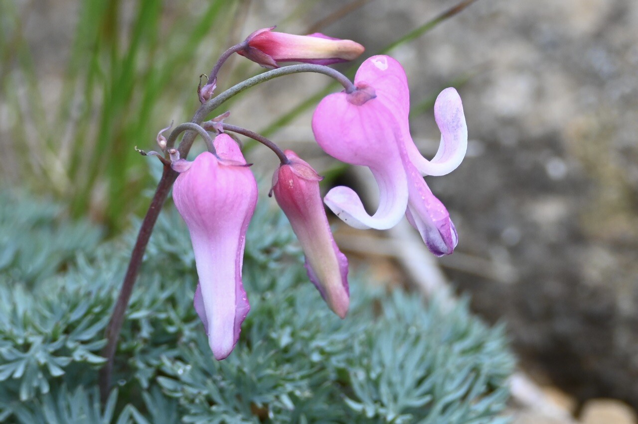 TAKKUNのページ | YAMAP / ヤマップ