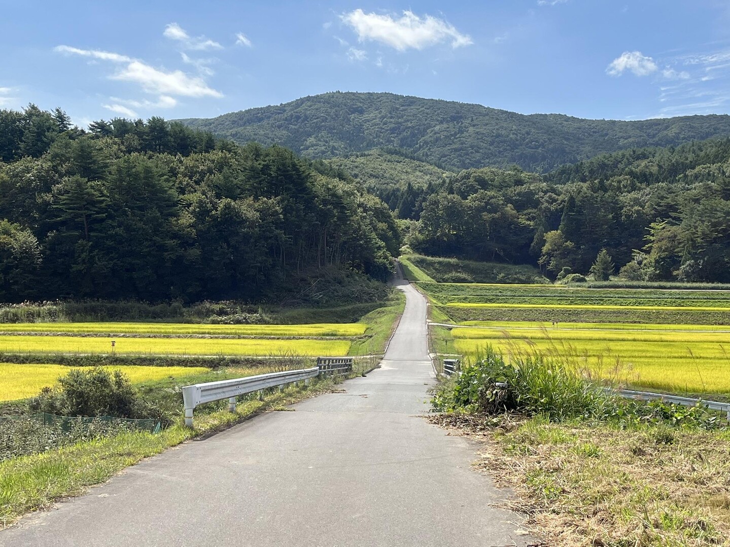 ひとりぼっちの五十人山で！ / Reさんの五十人山の活動データ | YAMAP / ヤマップ
