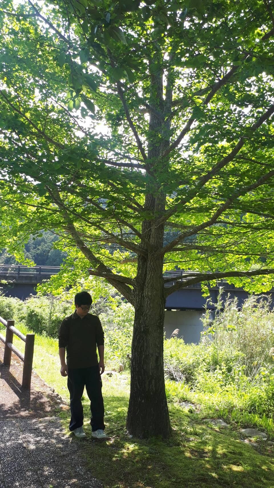 mino&maoのページ | YAMAP / ヤマップ