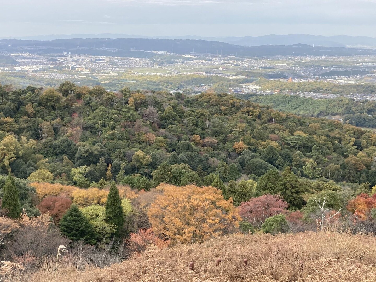 若草山登山2024-11-27 / かんなさんのハイキングの活動データ | YAMAP / ヤマップ