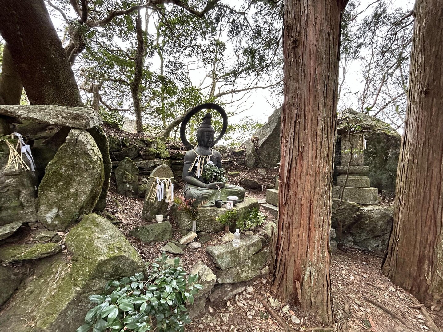堀坂山 周回 16回目 今日はご報告へ / 2流SE カズさんの堀坂山・観音岳・桝形山（白米城）の活動データ | YAMAP / ヤマップ
