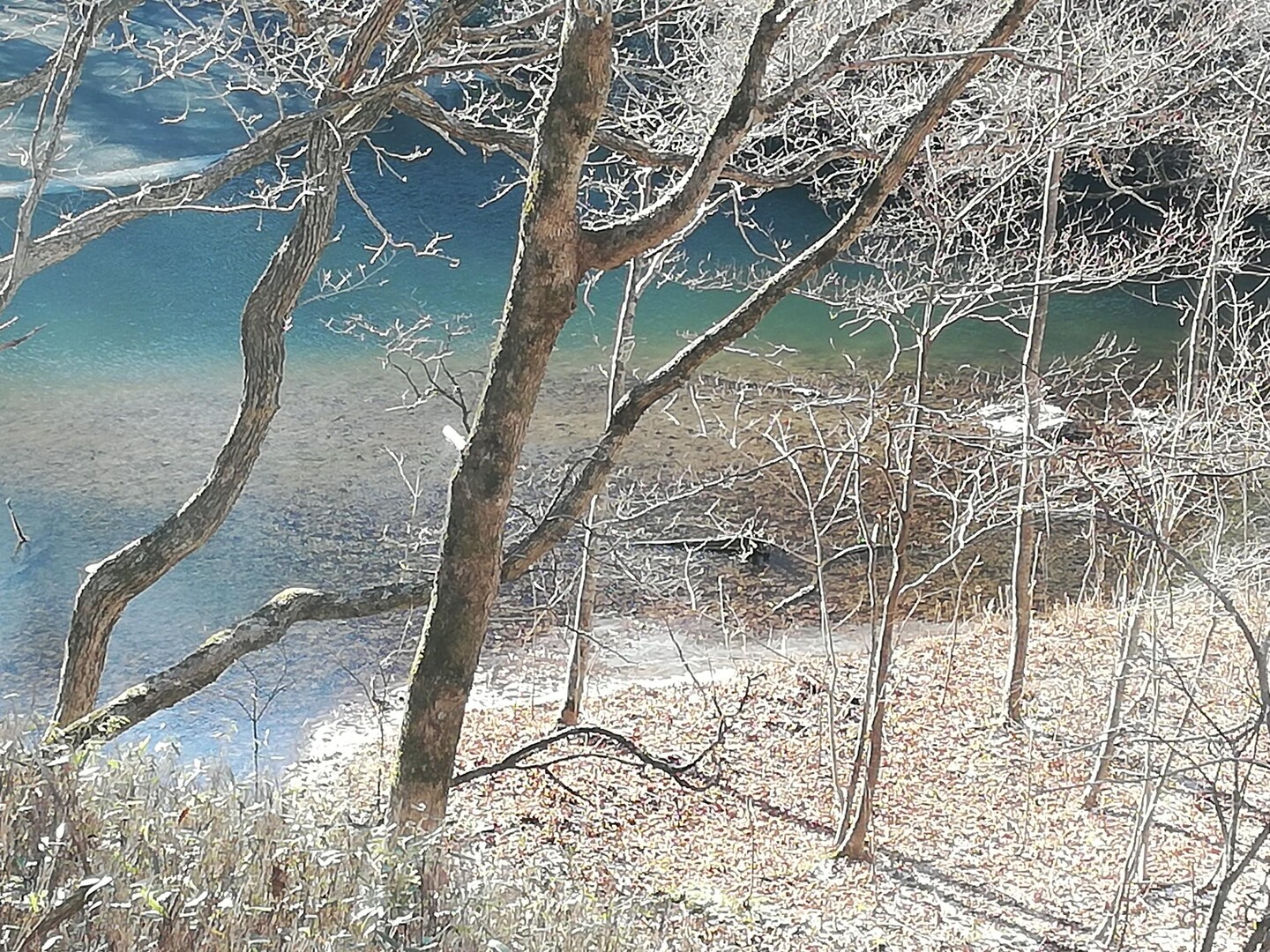 ぶらり錦大沼 1ヶ月登っていない 寒いの... / aripapaさんのモーメント | YAMAP / ヤマップ