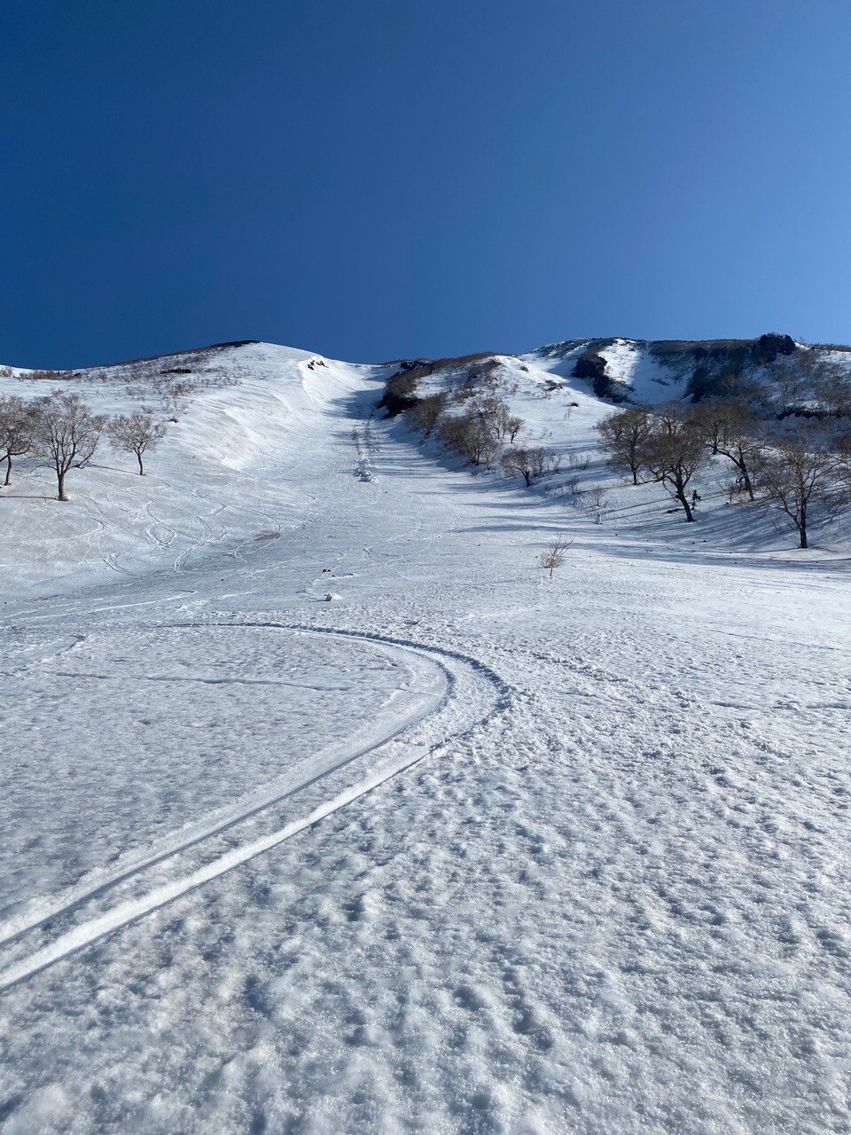 真狩岳・羊蹄山（後方羊蹄山・マッカリヌプリ） / satokenさんの羊蹄山（蝦夷富士）の活動日記 | YAMAP / ヤマップ