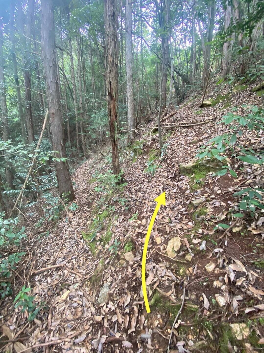 Taka32さんの投稿したフィールドメモ | YAMAP / ヤマップ