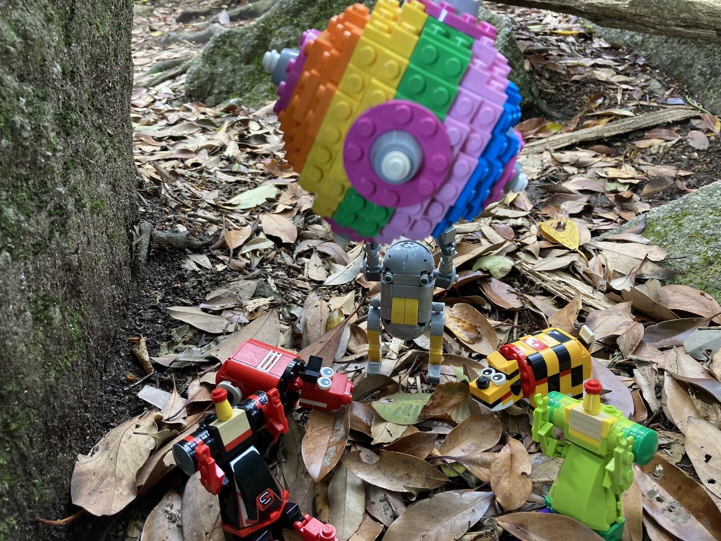 油山 / Suyamaさんの油山・荒平山・片縄山の活動データ | YAMAP / ヤマップ