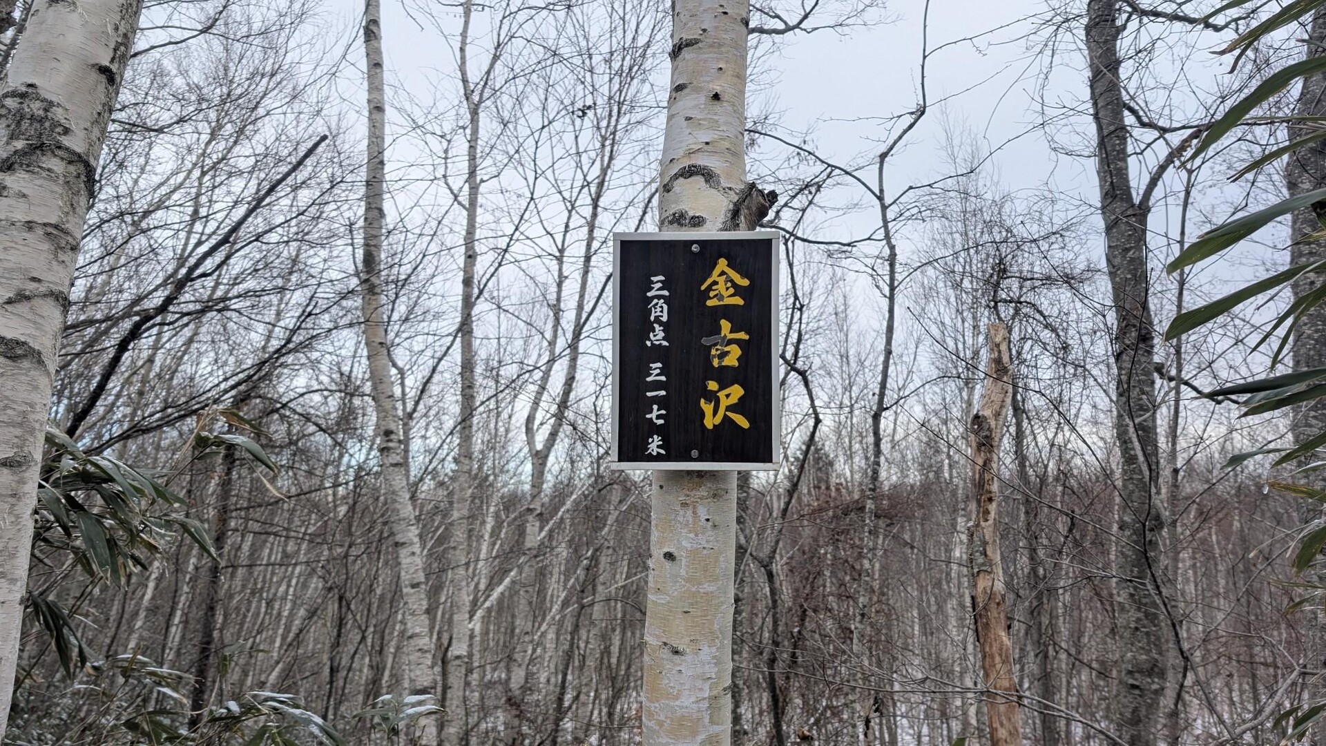 金古沢 / agaさんの野牛山・北広山の活動データ | YAMAP / ヤマップ