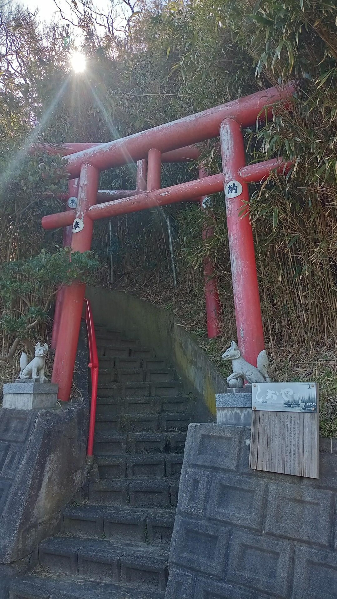 新潟県で一番低い山・稲荷山（番所山）⛩😀 / HUSTLERさんの村上市（村上地区）の活動データ | YAMAP / ヤマップ