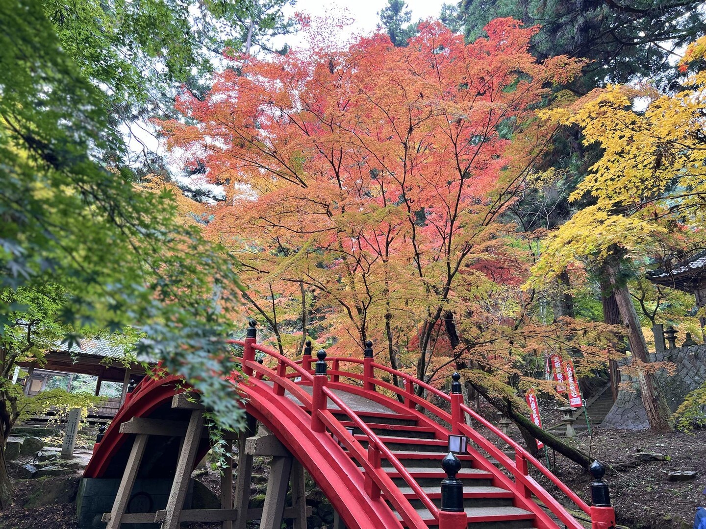 今高野山の紅葉が見頃でした🍁 和太鼓や... / Y Yukoさんのモーメント | YAMAP / ヤマップ