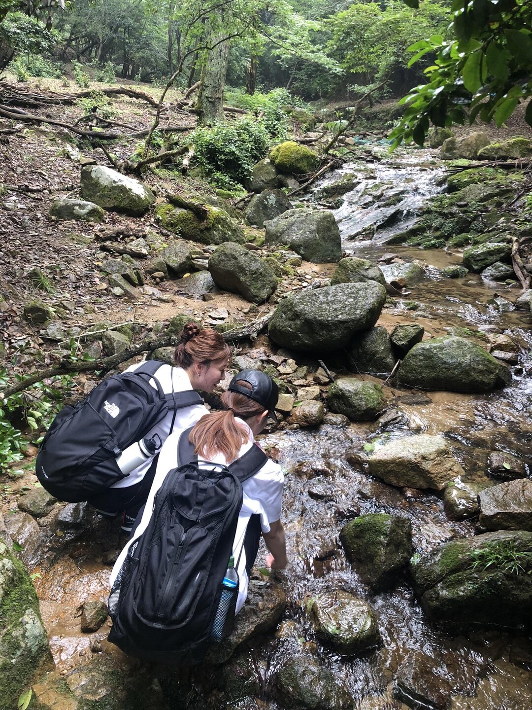書写山 / AFPさんの書写山・伊勢山・とんがり山の活動データ | YAMAP / ヤマップ